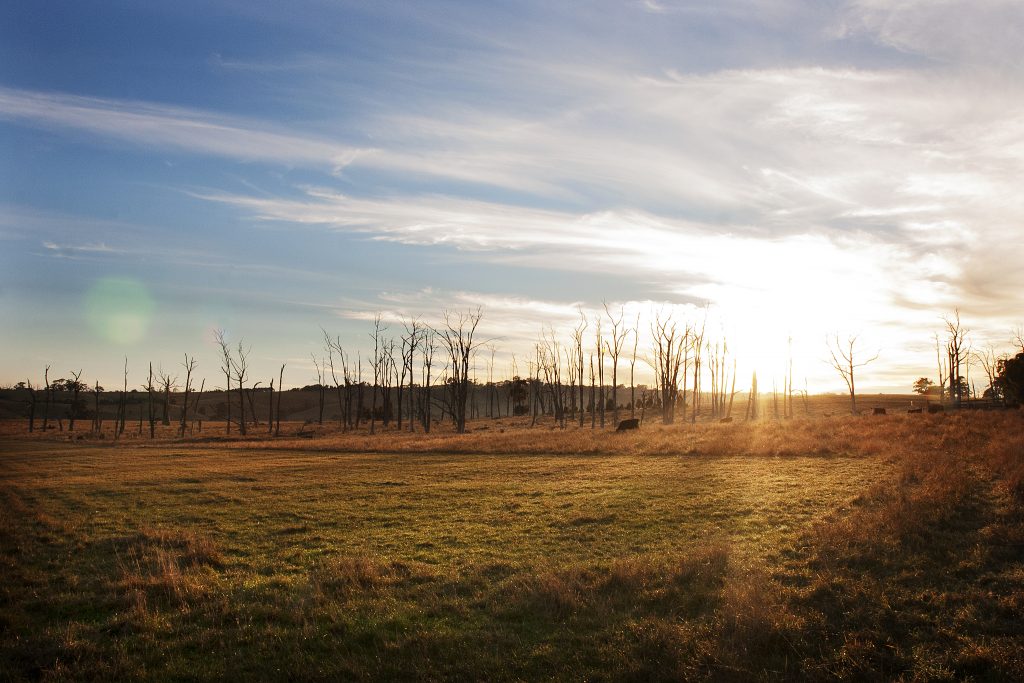 Port Welshpool - South Gippsland