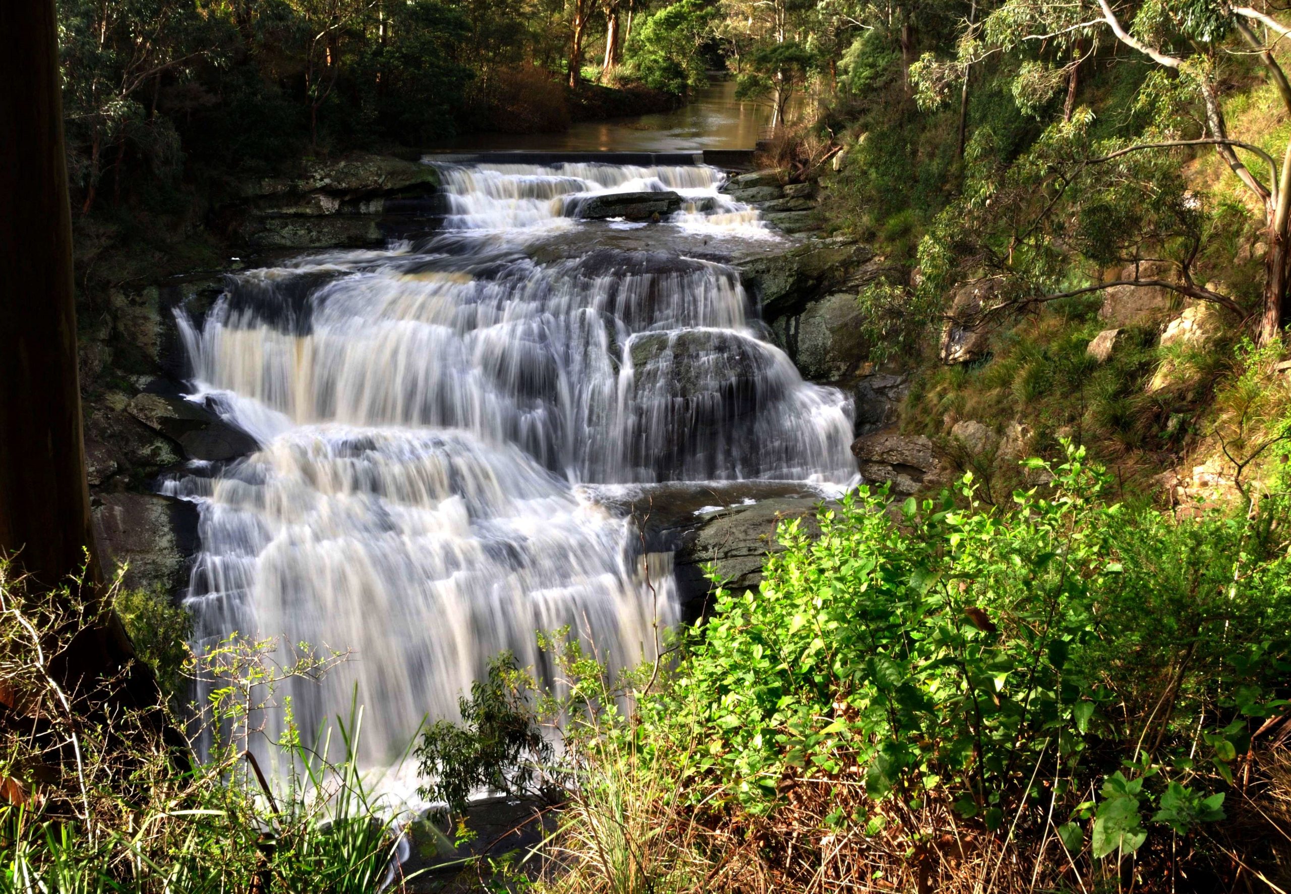 Agnes Falls - South Gippsland