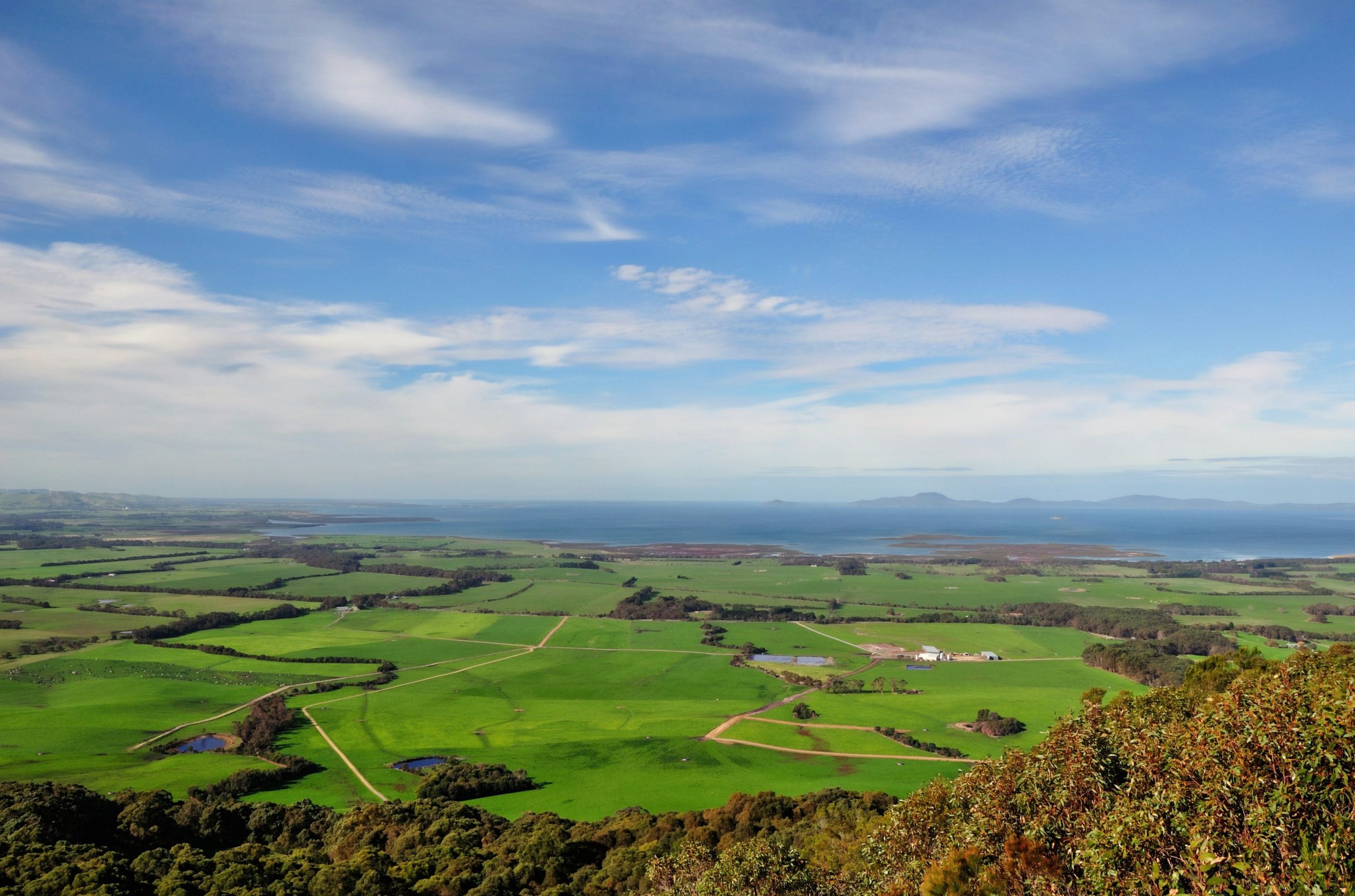 Loader Walk (Mount Nicoll) - South Gippsland
